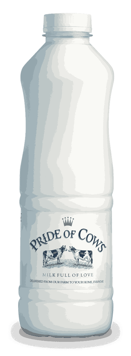 Farm to Home 100% Cow milk Manufacturer and Supplier – Pride of Cows